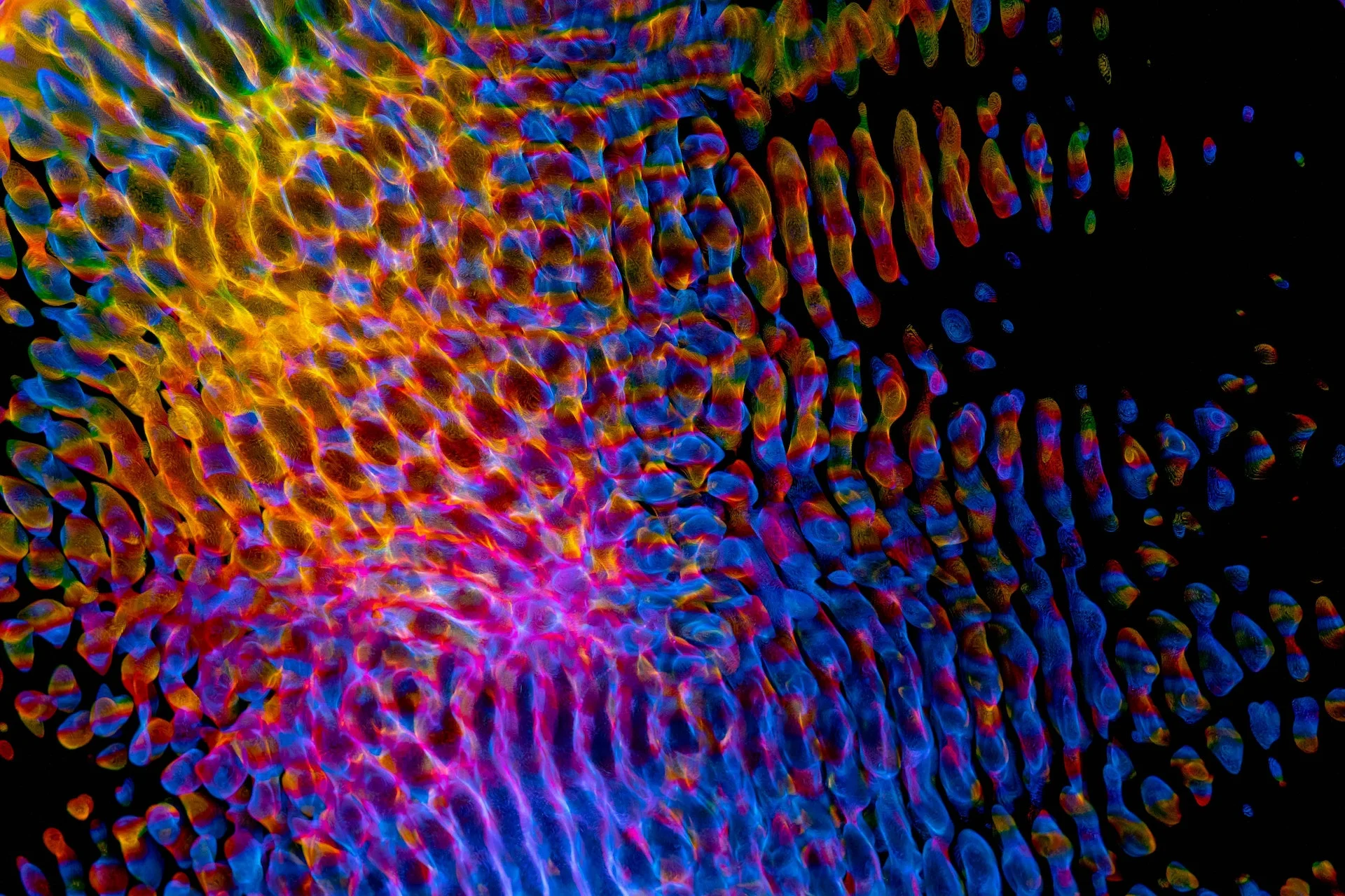 The past, present and future state of Master Data Management | CluedIn